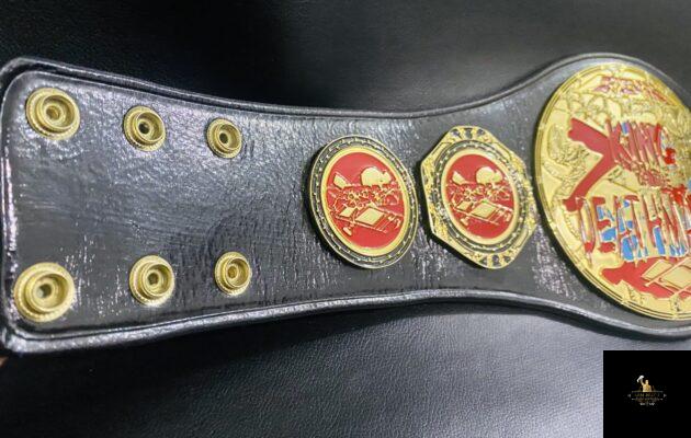 CUSTOM MINI CHAMPIONSHIP BELT