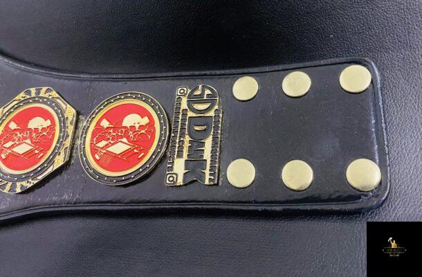 CUSTOM MINI CHAMPIONSHIP BELT