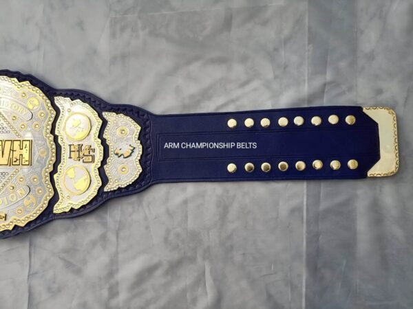 AEW CUSTOM WRESTLING BELT