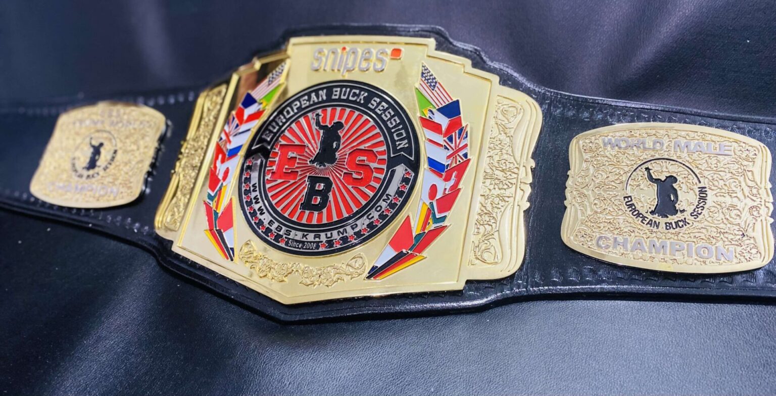 Kickboxing Championship Belts