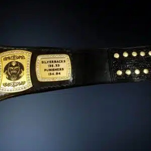 Personalize Your Victory: Windy City Spinner Championship Belt