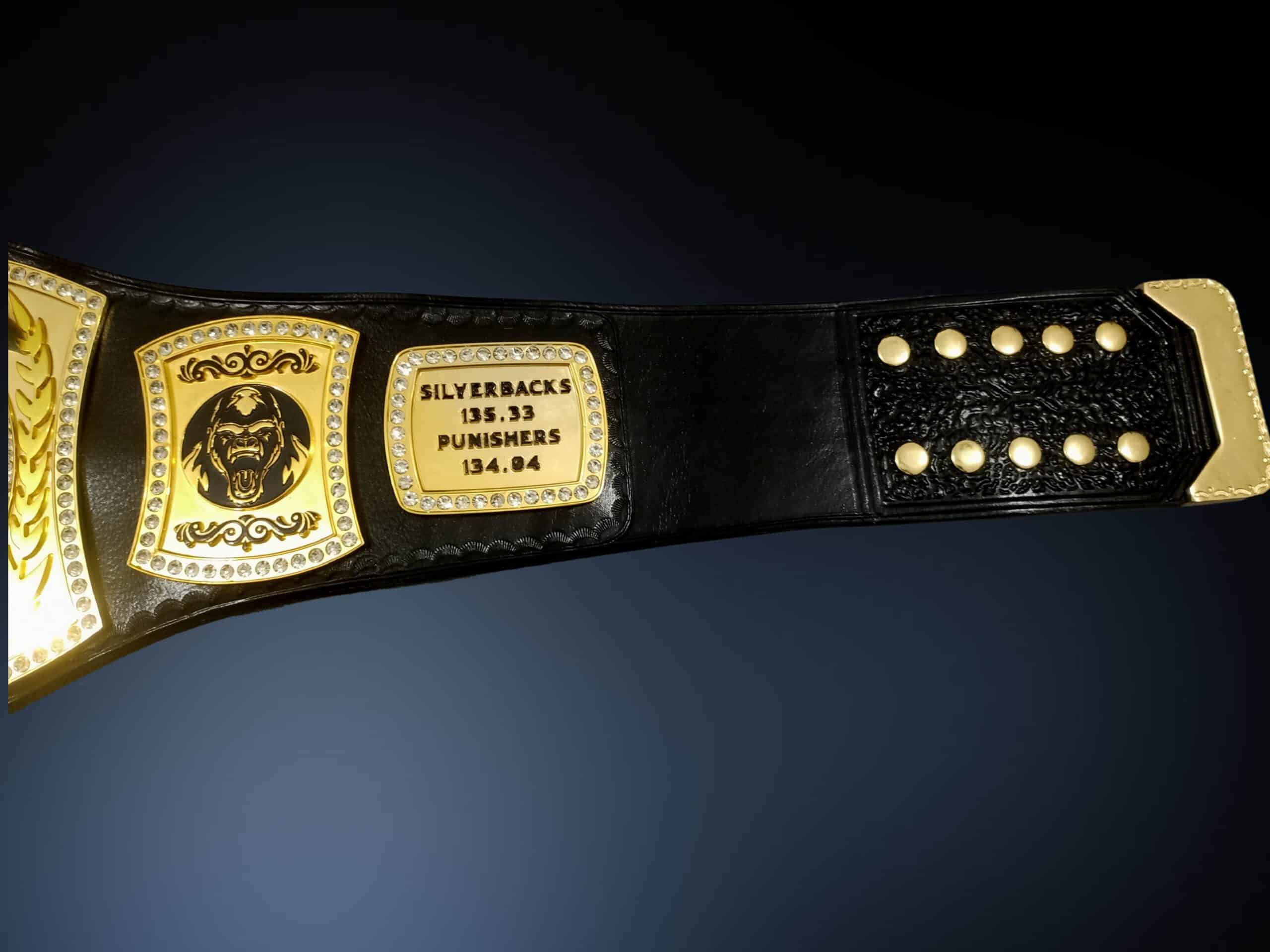 Personalize Your Victory: Windy City Spinner Championship Belt