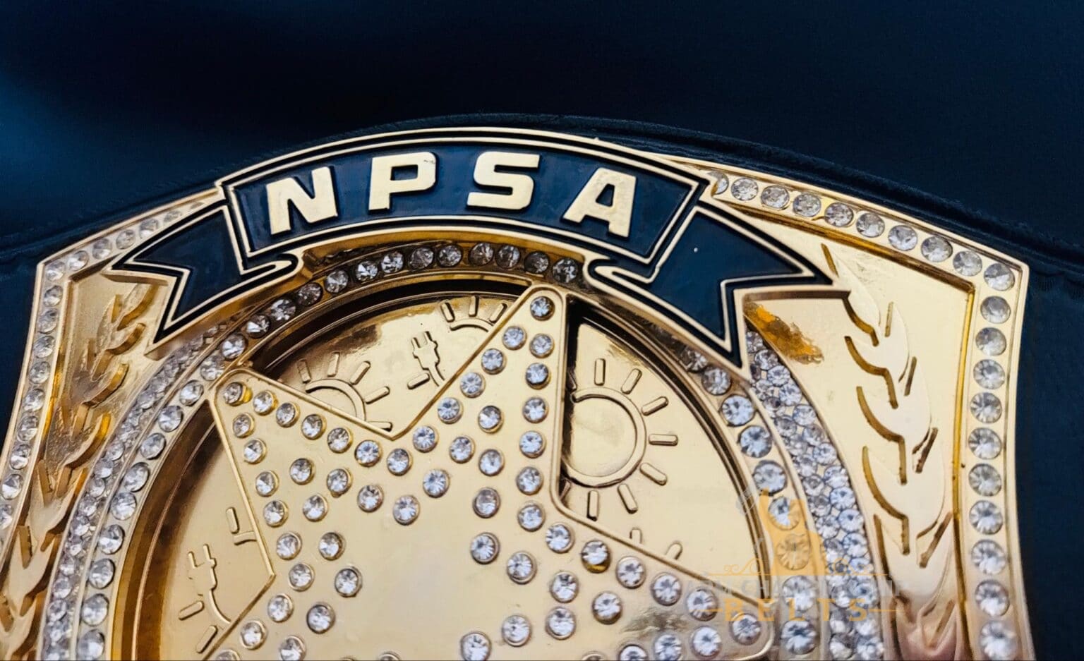 Custom Corporate Awards Title Belts - Free Shipping