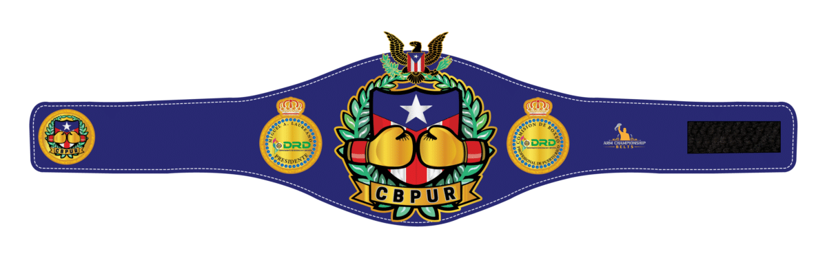 Championship Belt Designs & Templates - Customizable Wrestling Belts